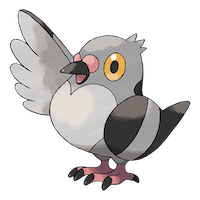 Pidove – Pokédex & Info | Pokémon