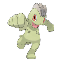 Machop – Pokédex & Info | Pokémon