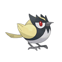 Rookidee – Pokédex & Info | Pokémon