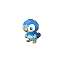 Piplup – Pokédex & Info | Pokémon